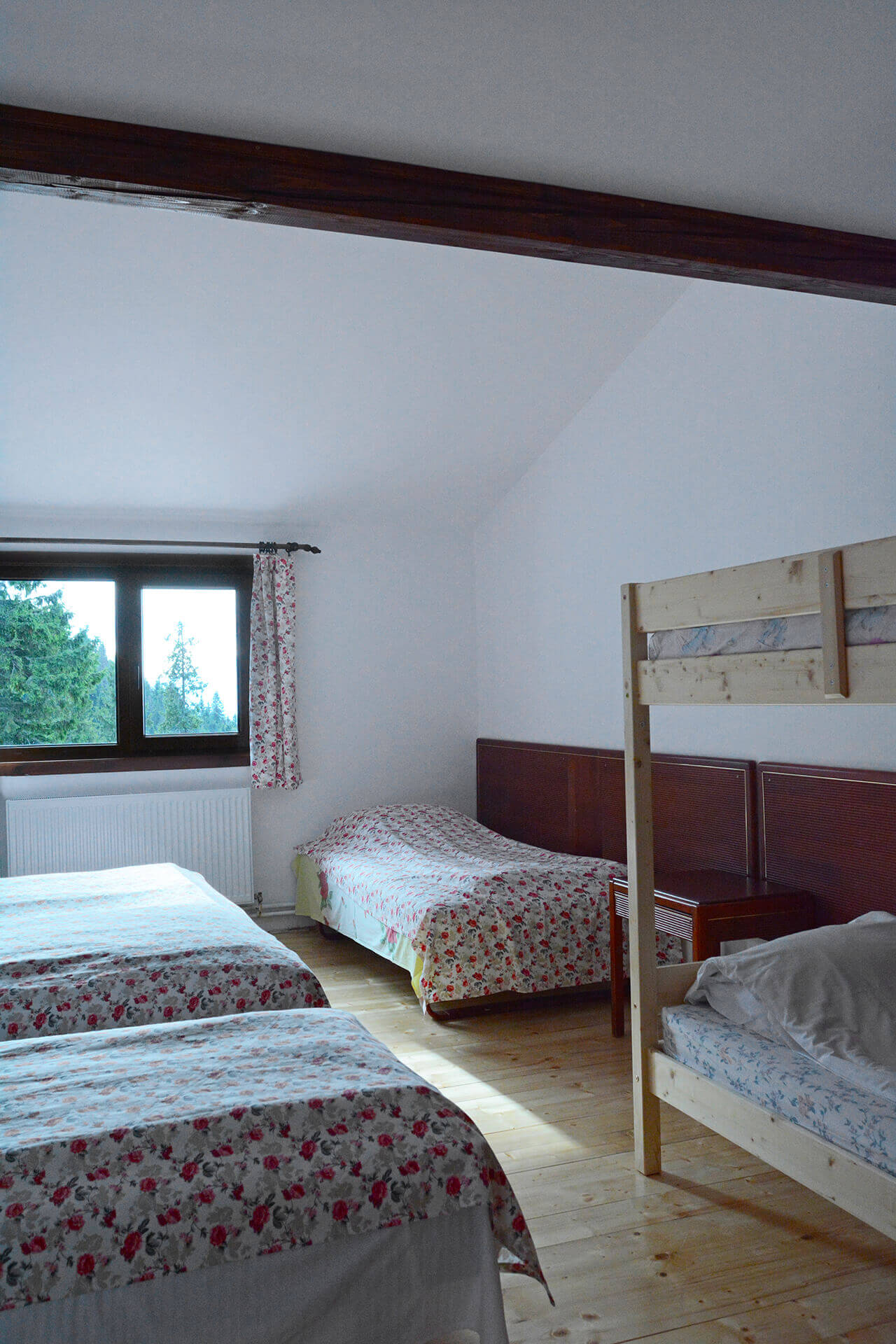 © Cabana Postavaru. All rights reserved site by: